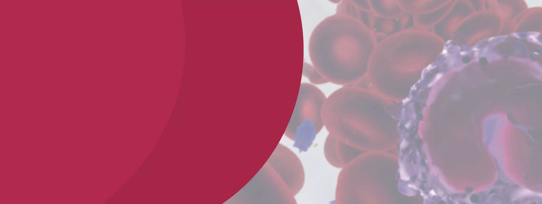 Was ist Blut und was sind Blutkörperchen | Hemaportal.at