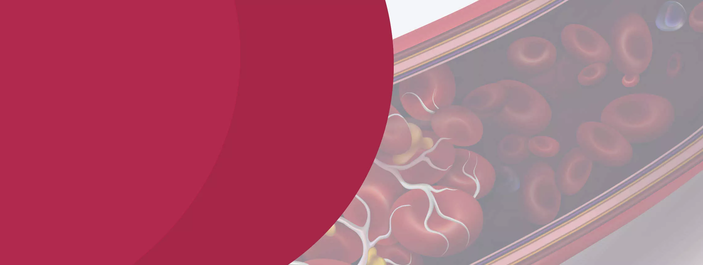 Wie entsteht Blut Hemaportal.at informiert über die Blutbildung